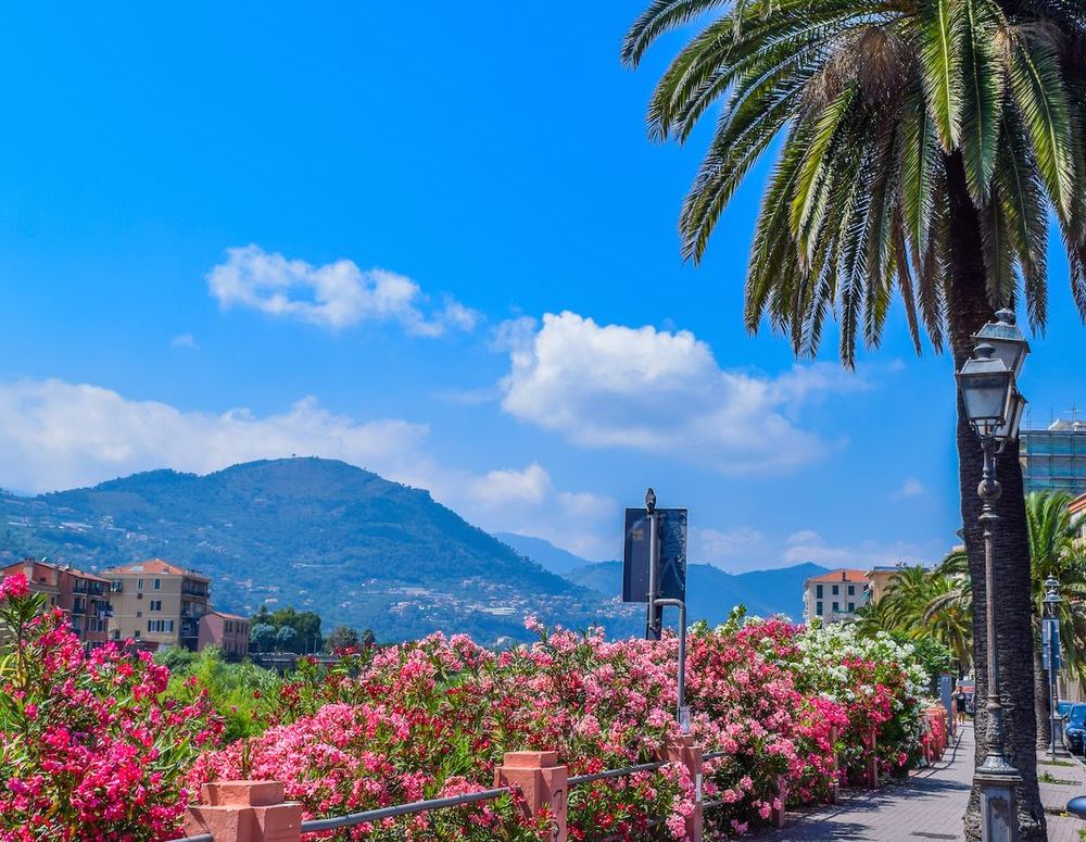 Victoria Media Group